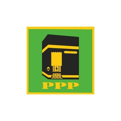 DPP PPP Logo & Brand Assets (SVG, PNG and vector) - Brandfetch