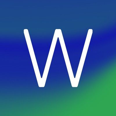 WongDoody Logo & Brand Assets (SVG, PNG and vector) - Brandfetch