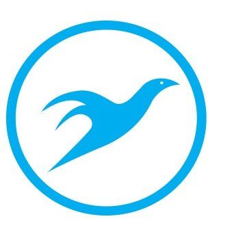 Jubba Airways Logo & Brand Assets (SVG, PNG and vector) - Brandfetch