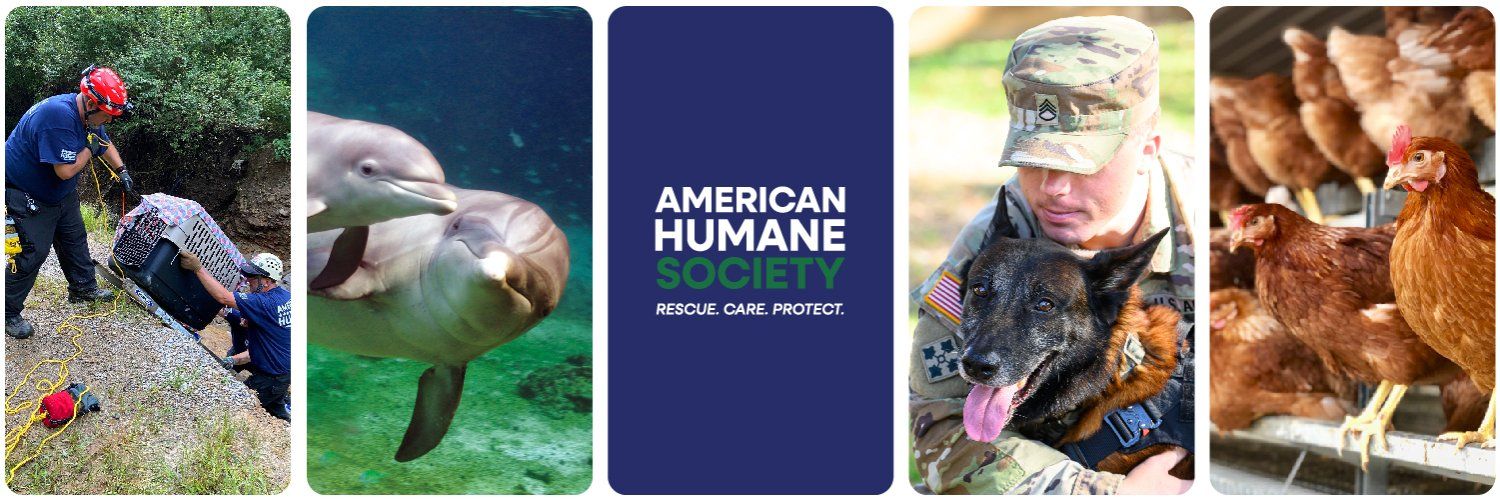 American Humane Society Logo & Brand Assets (SVG, PNG and vector ...