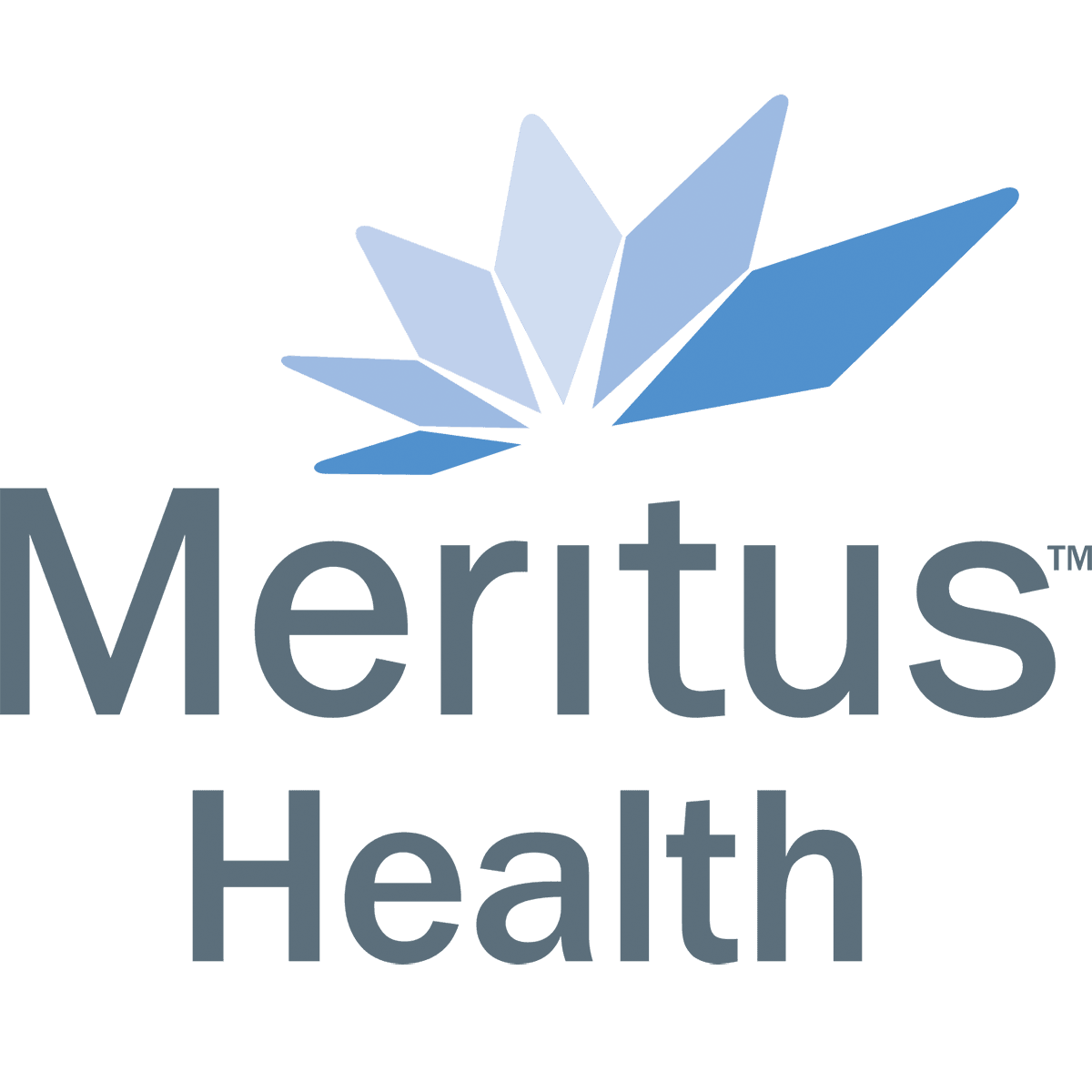Meritus Health Logo & Brand Assets (SVG, PNG and vector) - Brandfetch