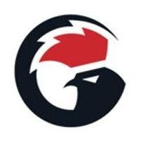 GameSir Logo & Brand Assets (SVG, PNG and vector) - Brandfetch