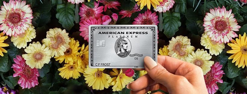 American Express Logo & Brand Assets (SVG, PNG and vector) - Brandfetch