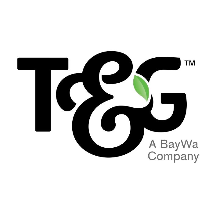 T&G | Auckland Logo & Brand Assets (SVG, PNG and vector) - Brandfetch