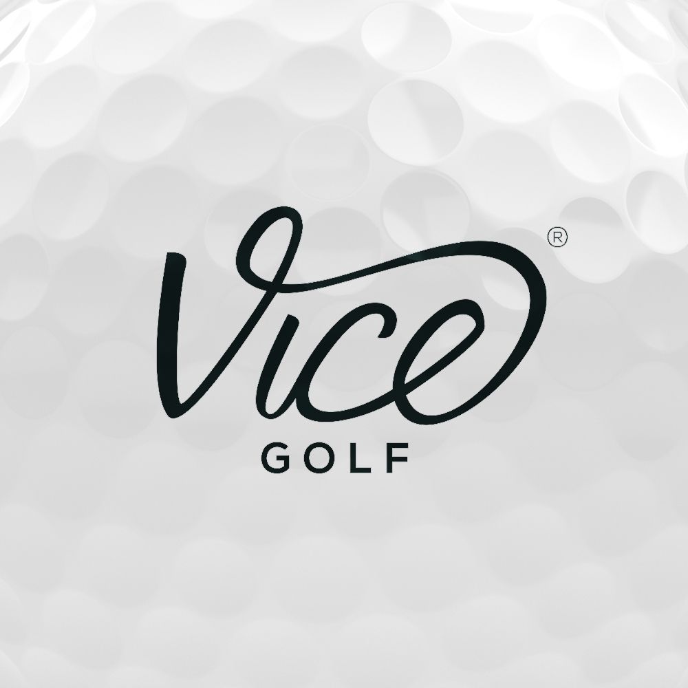 vice logo vector
