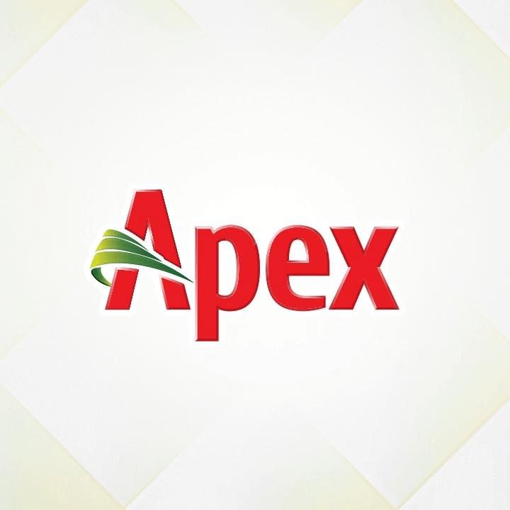 apex logo vector
