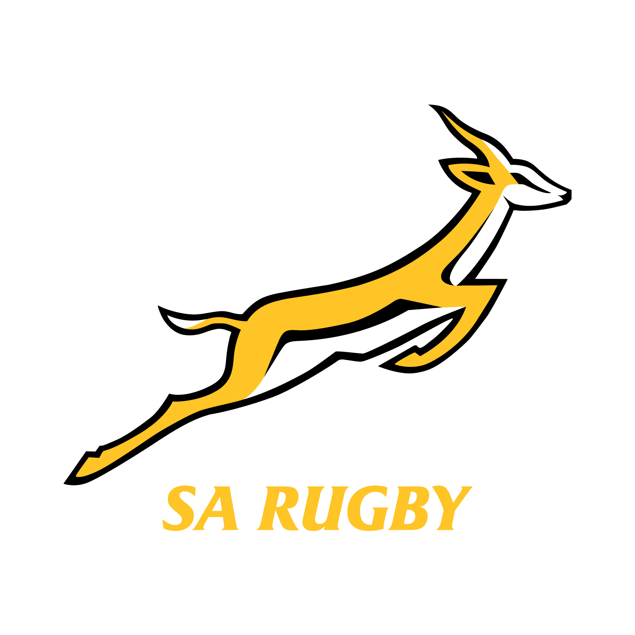 springboks logo svg