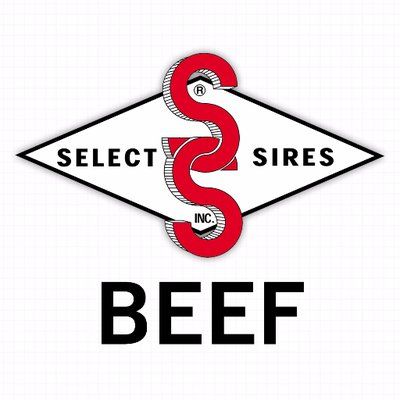 Select Sires Beef Logo & Brand Assets (SVG, PNG and vector) - Brandfetch