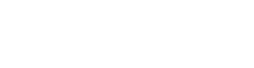 Castle Lite Logo & Brand Assets (SVG, PNG and vector) - Brandfetch
