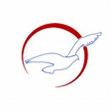 Air Peace Logo & Brand Assets (SVG, PNG and vector) - Brandfetch