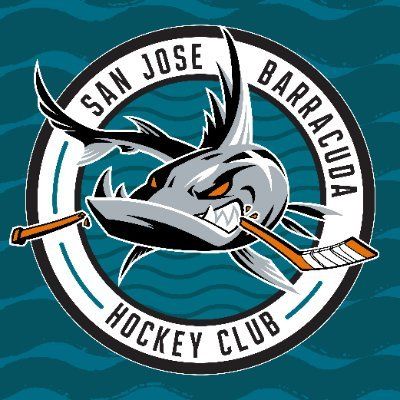 barracuda logo vector