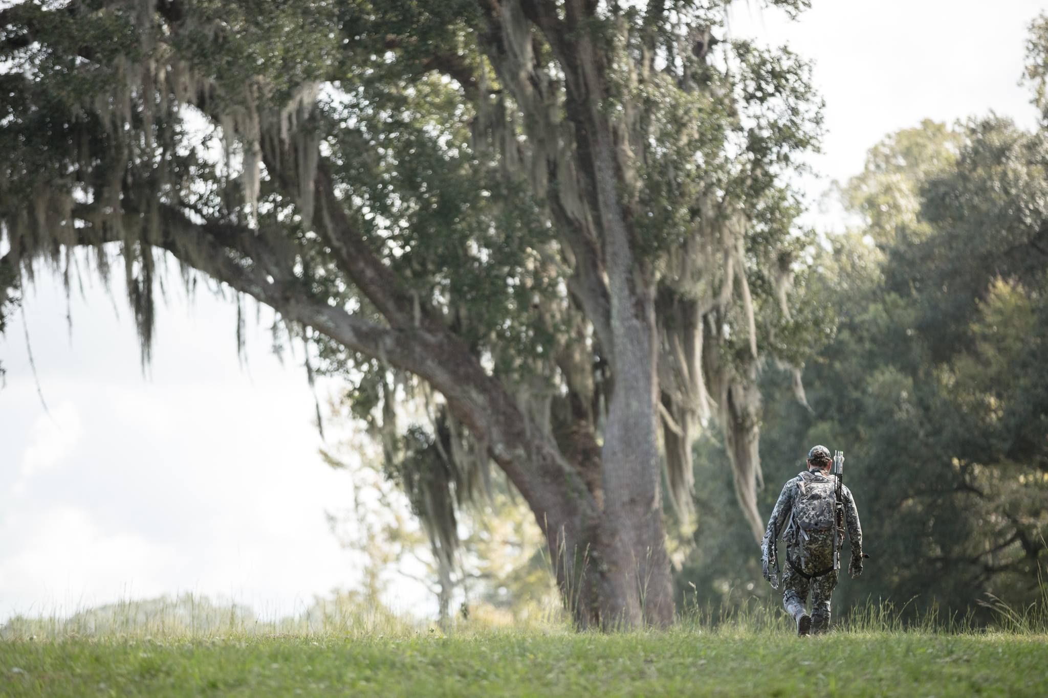 SITKA Gear Logo & Brand Assets (SVG, PNG and vector) - Brandfetch