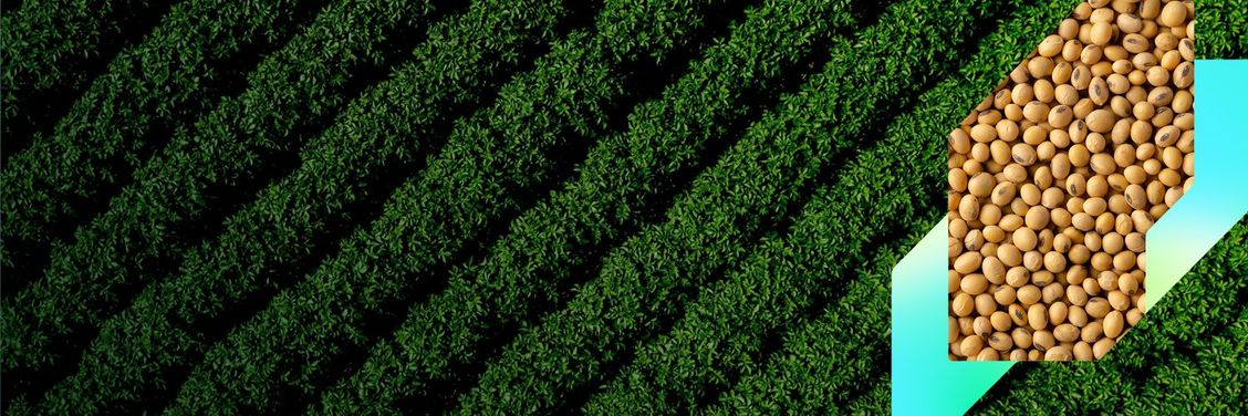 Corteva Agriscience Logo & Brand Assets (SVG, PNG and vector) - Brandfetch