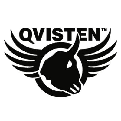 Qvisten Animation Logo & Brand Assets (SVG, PNG and vector) - Brandfetch