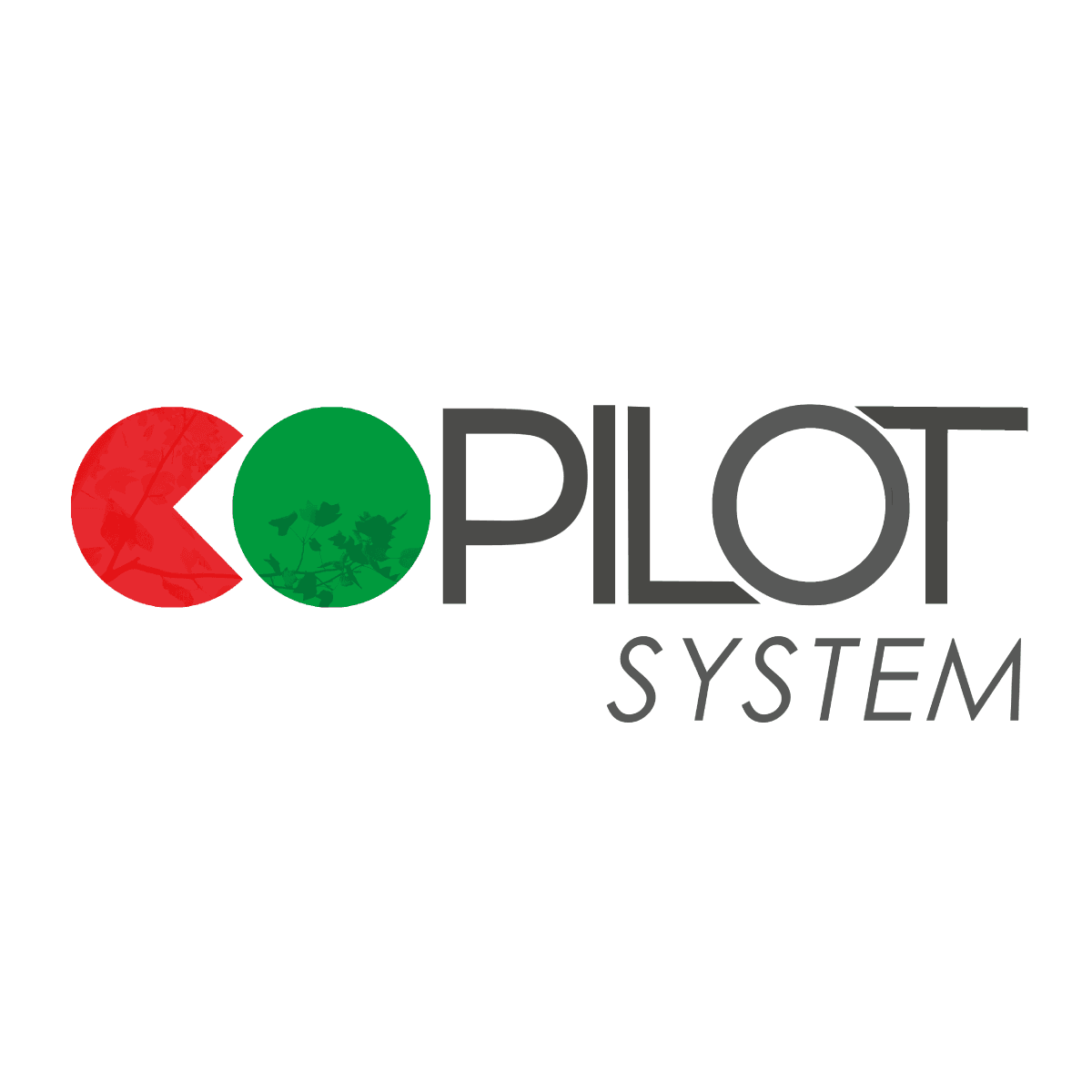 Copilot System Logo & Brand Assets (SVG, PNG and vector) - Brandfetch