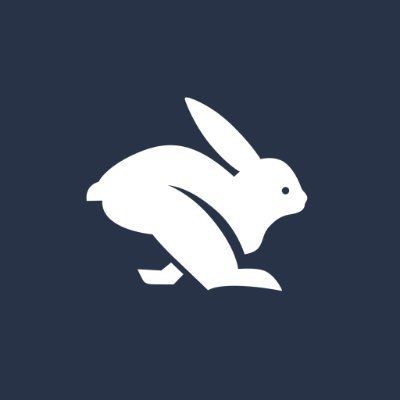 Rabbit Logo & Brand Assets (SVG, PNG and vector) - Brandfetch