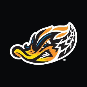 Akron RubberDucks Logo & Brand Assets (SVG, PNG and vector) - Brandfetch
