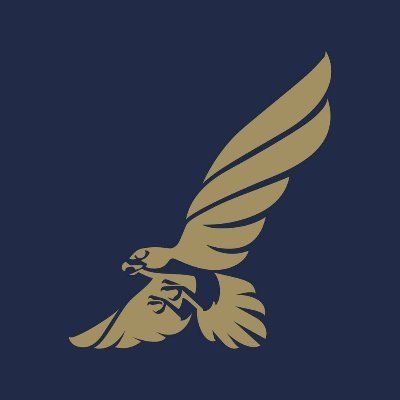 Gulf Air Logo & Brand Assets (SVG, PNG and vector) - Brandfetch