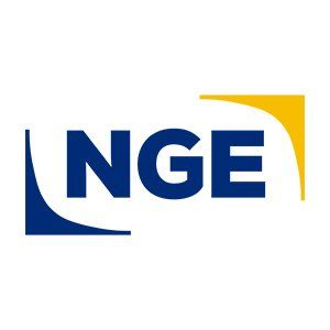 NGE Logo & Brand Assets (SVG, PNG and vector) - Brandfetch