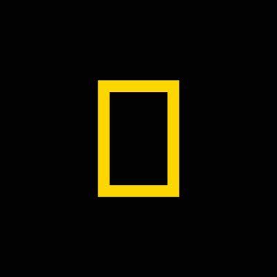 National Geographic LATAM Logo & Brand Assets (SVG, PNG and vector ...
