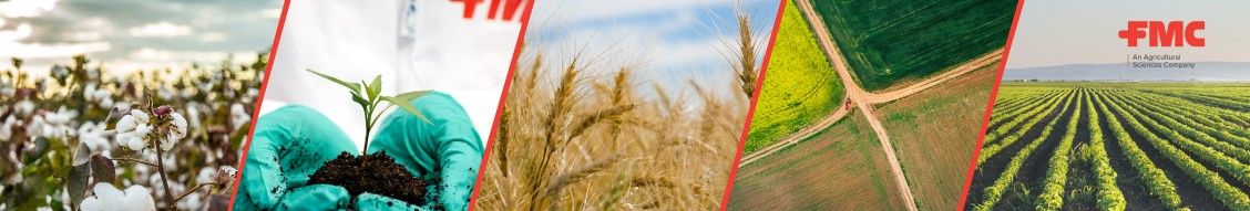 FMC Corporation Logo & Brand Assets (SVG, PNG and vector) - Brandfetch