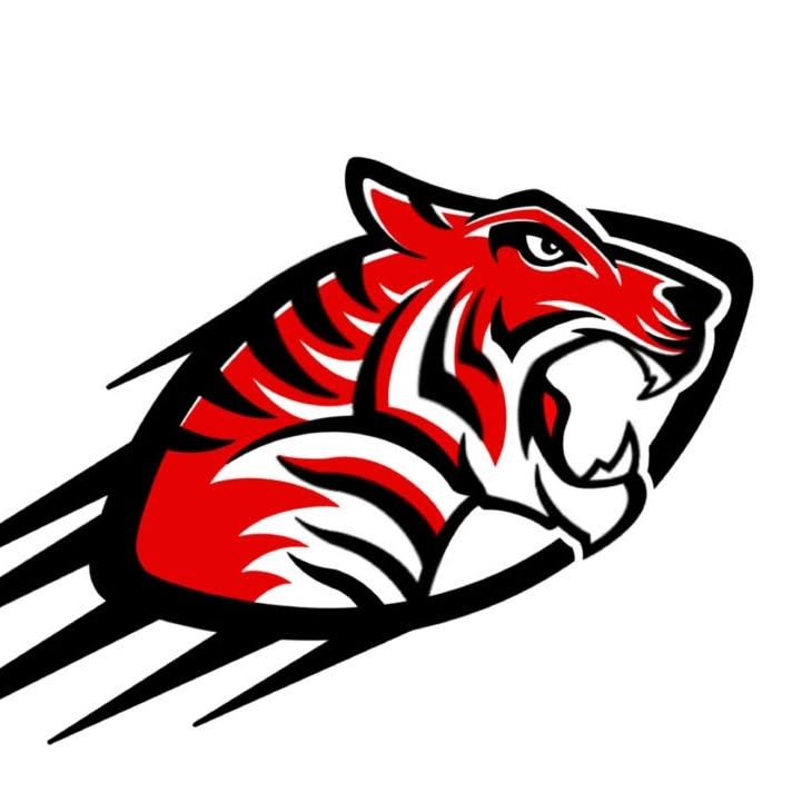Junior Tigers Logo & Brand Assets (SVG, PNG and vector) - Brandfetch