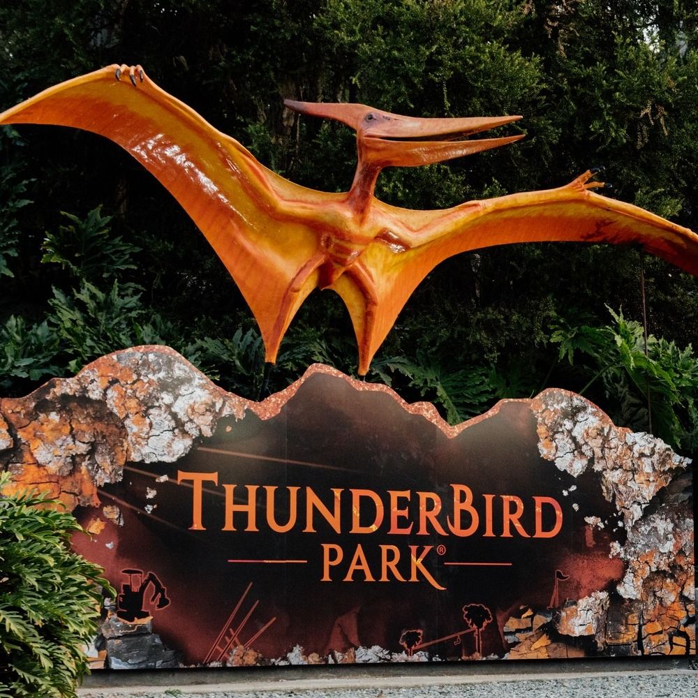 Thunderbird Park Logo & Brand Assets (SVG, PNG and vector) - Brandfetch