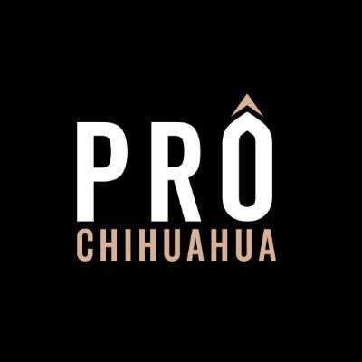PRO Chihuahua Logo & Brand Assets (SVG, PNG and vector) - Brandfetch