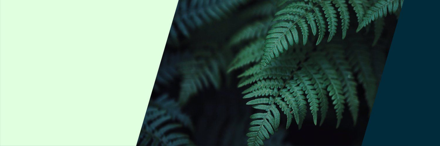 Hootsuite Logo & Brand Assets (SVG, PNG and vector) - Brandfetch