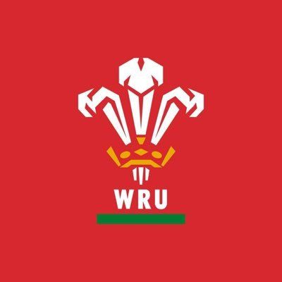 Welsh Rugby Union Logo & Brand Assets (SVG, PNG and vector) - Brandfetch