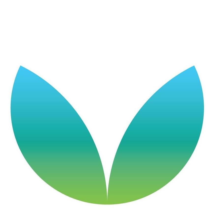 VOLTERRA Logo & Brand Assets (SVG, PNG and vector) - Brandfetch