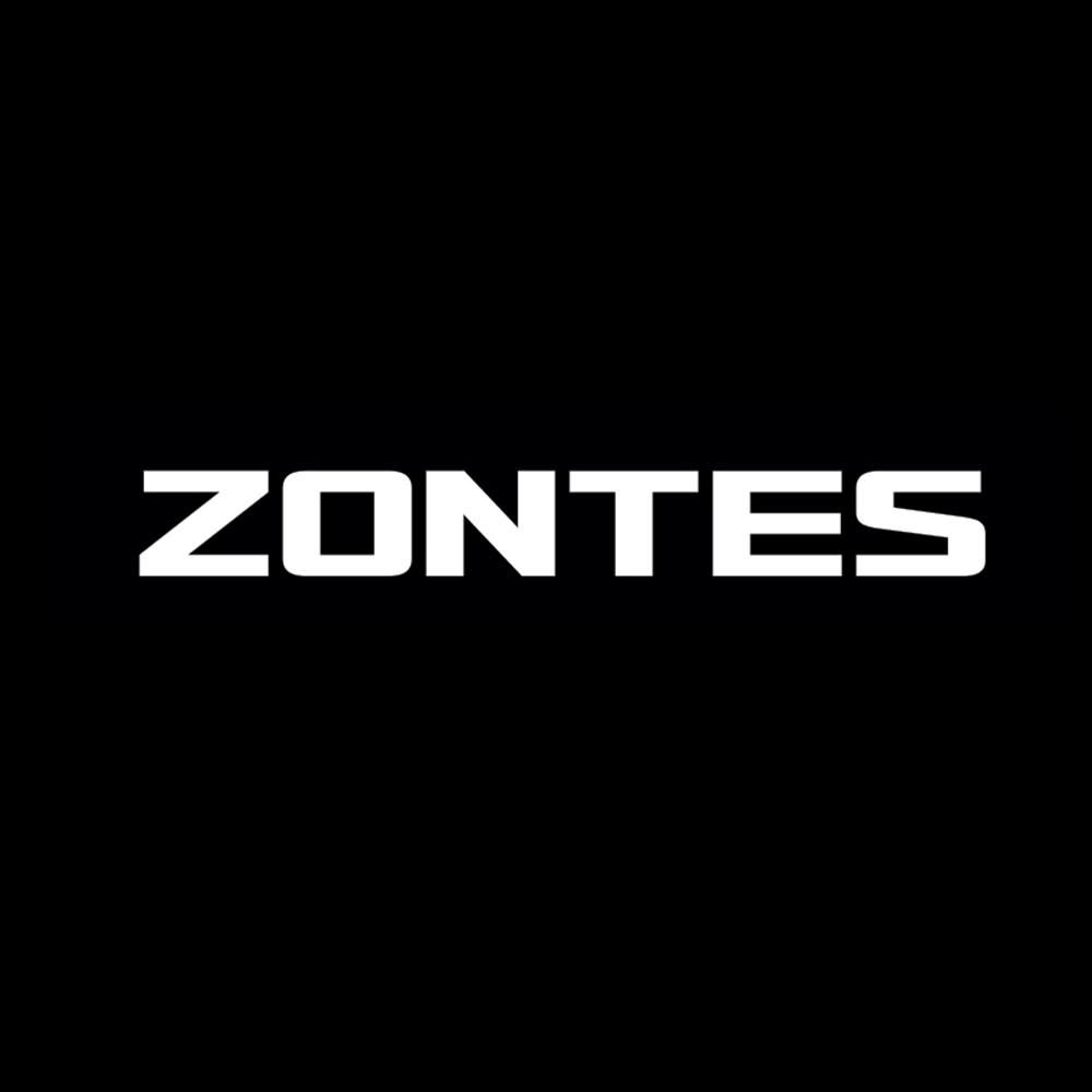 Zontes Logo & Brand Assets (SVG, PNG and vector) - Brandfetch