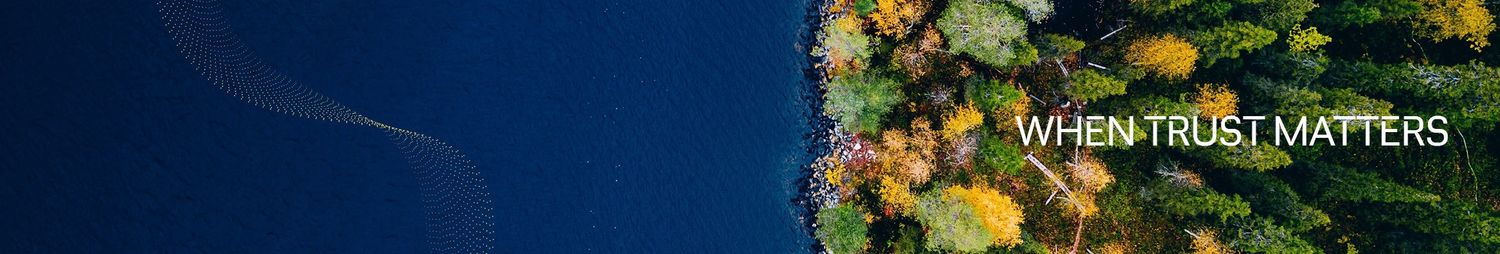 DNV Logo & Brand Assets (SVG, PNG and vector) - Brandfetch