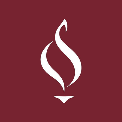 Lee University Logo & Brand Assets (SVG, PNG and vector) - Brandfetch