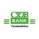 CRDB Bank PLC Logo & Brand Assets (SVG, PNG and vector) - Brandfetch