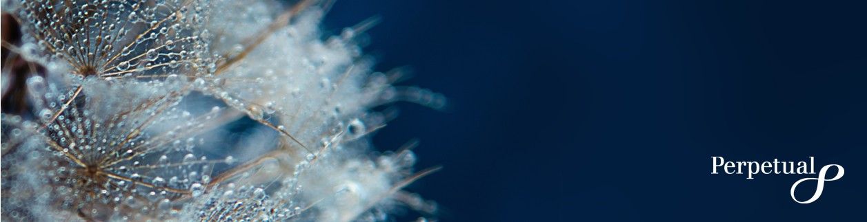 Perpetual Limited Logo & Brand Assets (SVG, PNG and vector) - Brandfetch