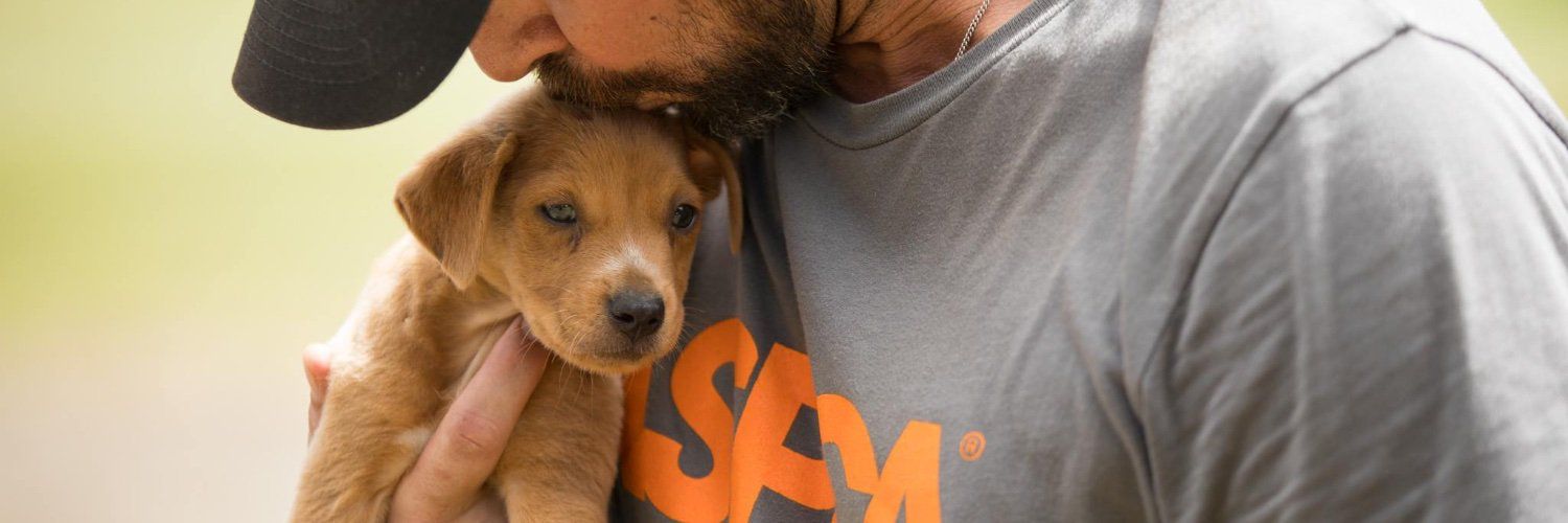 ASPCA Logo & Brand Assets (SVG, PNG and vector) - Brandfetch