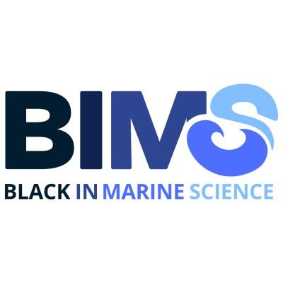 BIMS Logo & Brand Assets (SVG, PNG and vector) - Brandfetch
