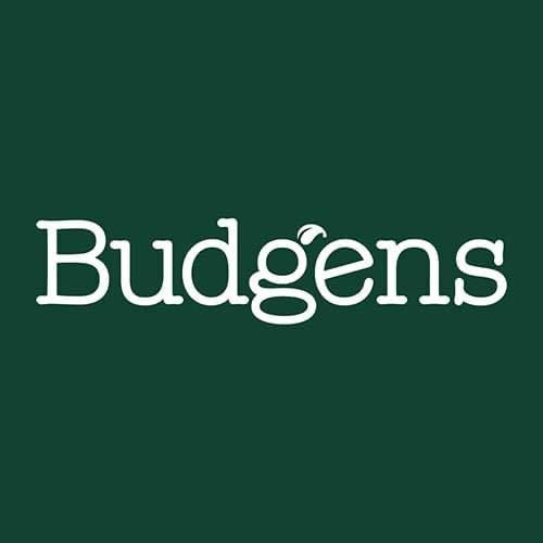 Budgens Logo & Brand Assets (SVG, PNG and vector) - Brandfetch