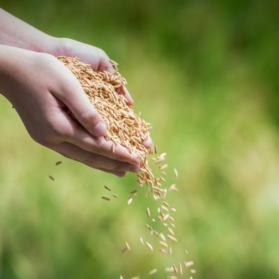 SIMAVI Co. Logo & Brand Assets (SVG, PNG and vector) - Brandfetch