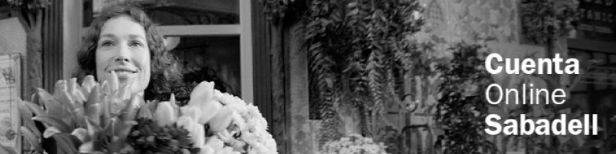 Banco Sabadell Logo & Brand Assets (SVG, PNG and vector) - Brandfetch