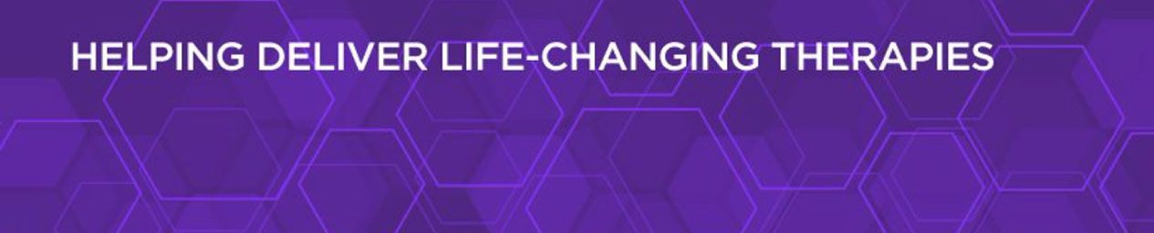 PPD Logo & Brand Assets (SVG, PNG and vector) - Brandfetch