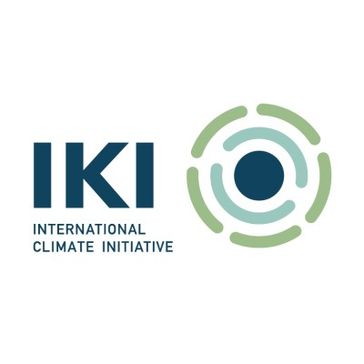 International Climate Initiative Logo & Brand Assets (SVG, PNG and ...