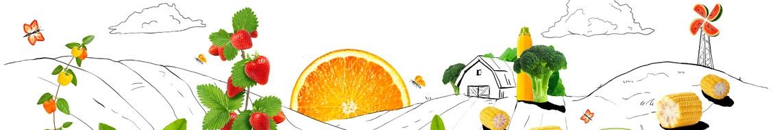 Sprouts Farmers Market Logo & Brand Assets (SVG, PNG and vector ...