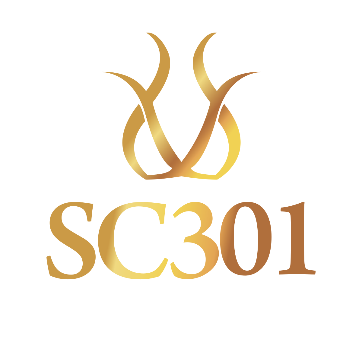 SC301 Logo & Brand Assets (SVG, PNG and vector) - Brandfetch