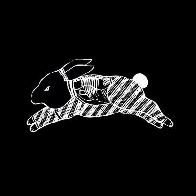 South Sydney Rabbitohs Logo & Brand Assets (SVG, PNG and vector ...