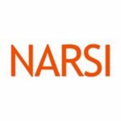 Narsi Logo & Brand Assets (SVG, PNG and vector) - Brandfetch