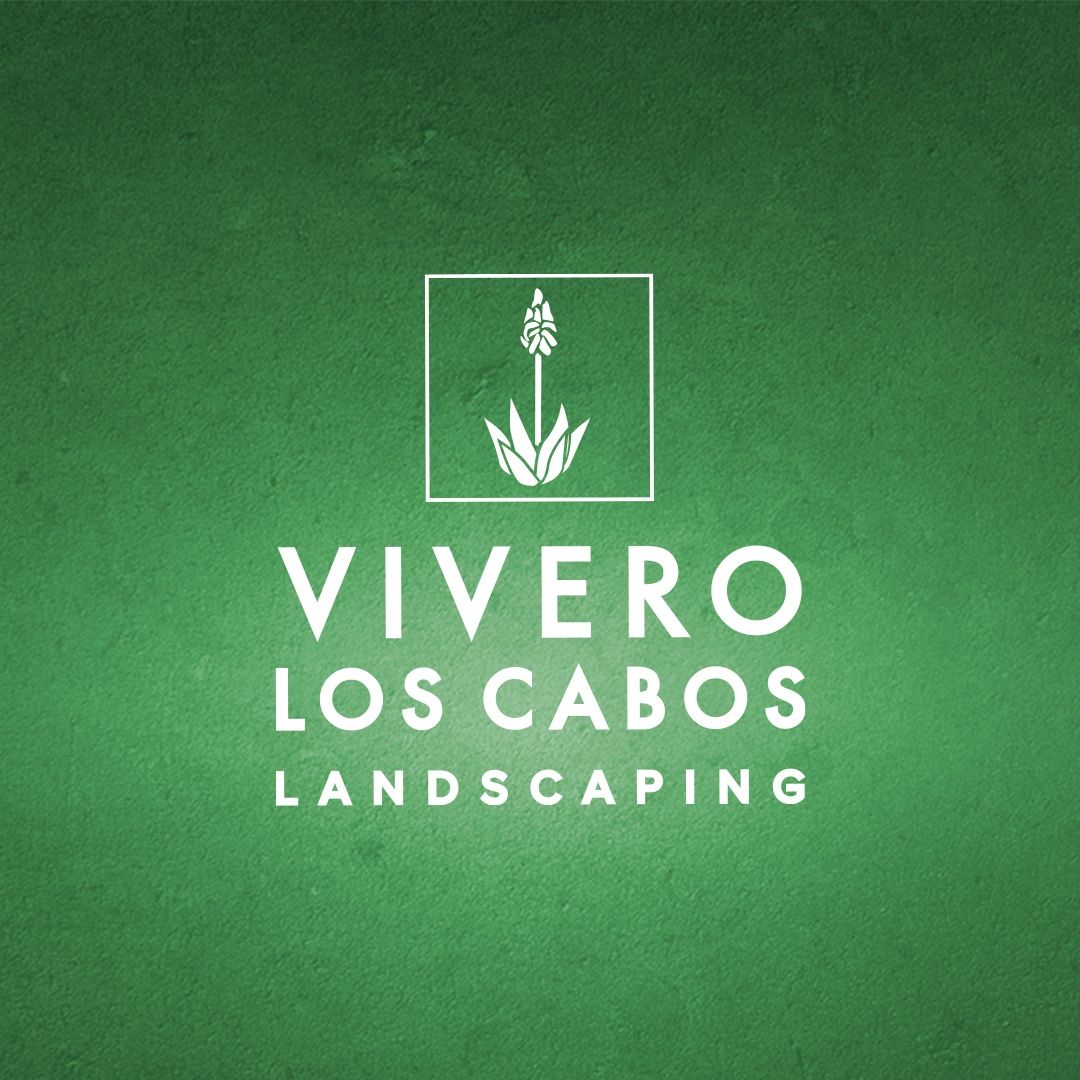 Vivero los Cabos Logo & Brand Assets (SVG, PNG and vector) - Brandfetch