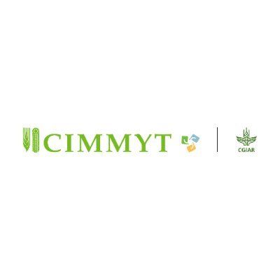 Cimmyt Logo