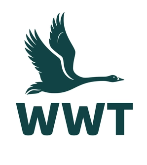 WWT Logo & Brand Assets (SVG, PNG and vector) - Brandfetch